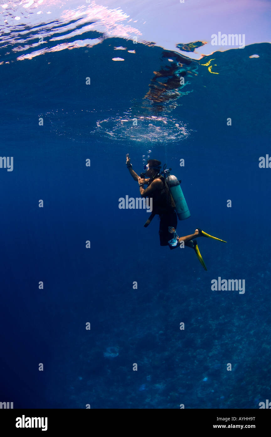 Shallow water diver hi-res stock photography and images - Alamy