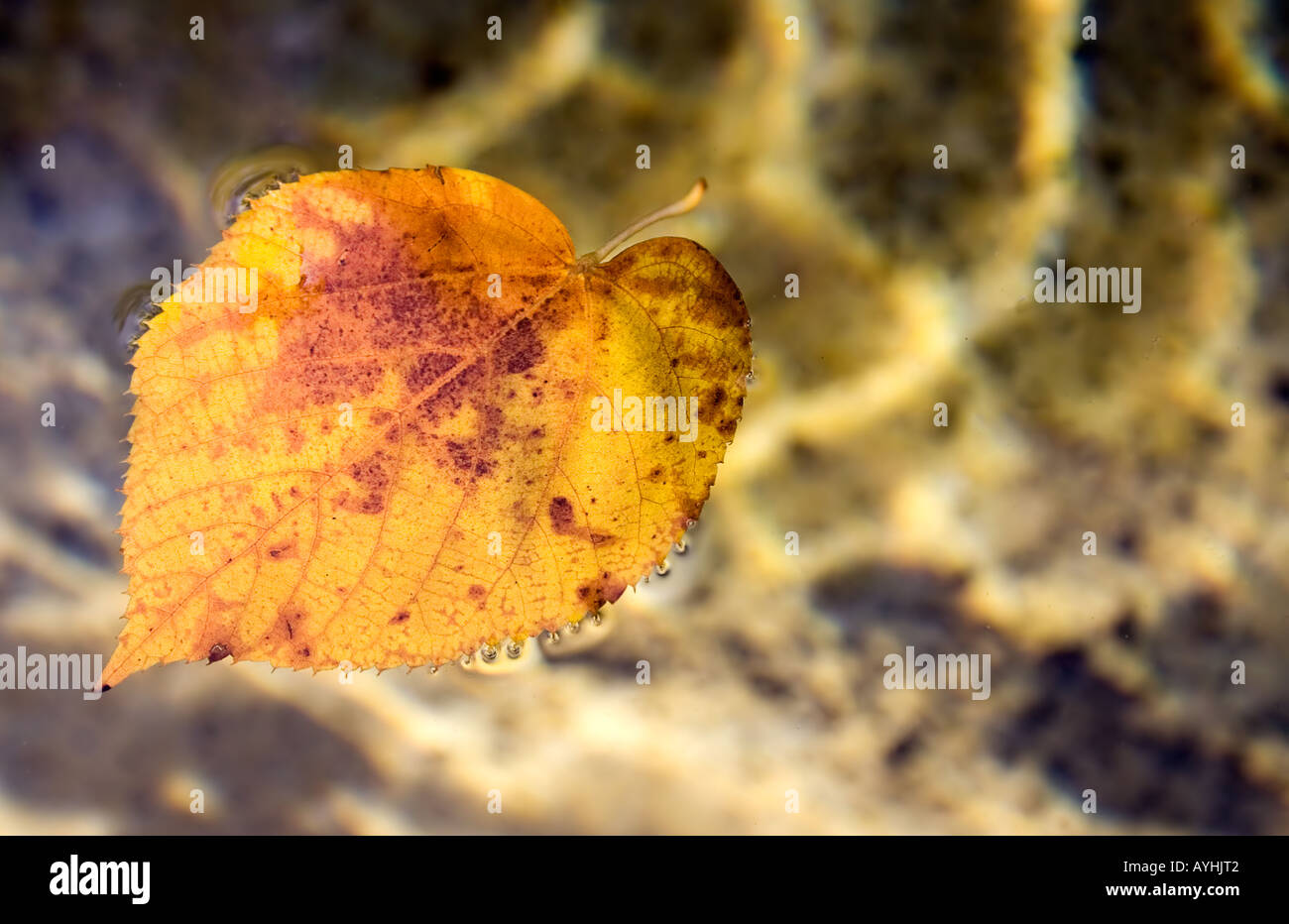 Mourning float hi-res stock photography and images - Alamy