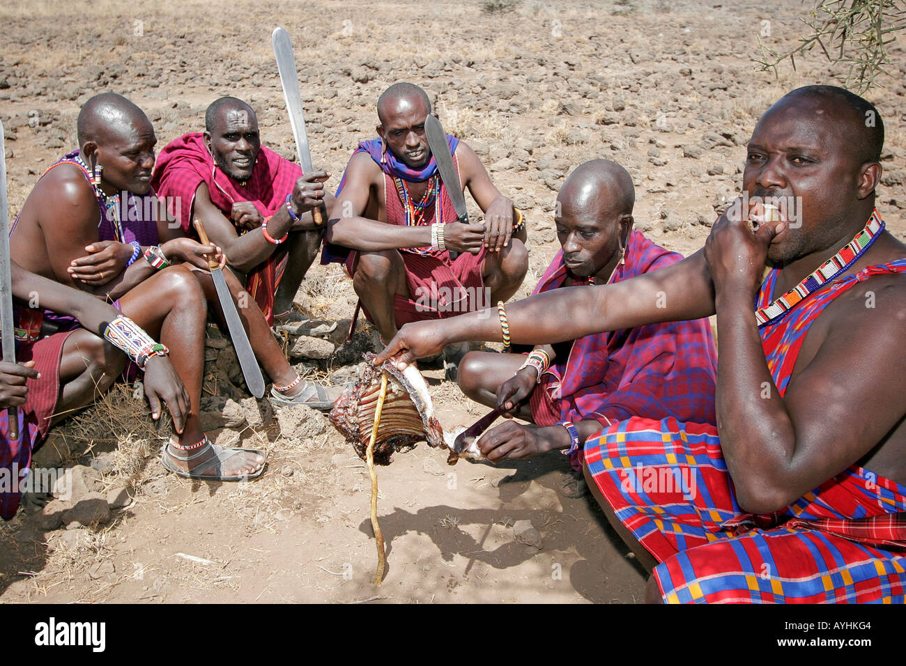 Maasai elders eat goat ribs Stock Photo - Alamy
