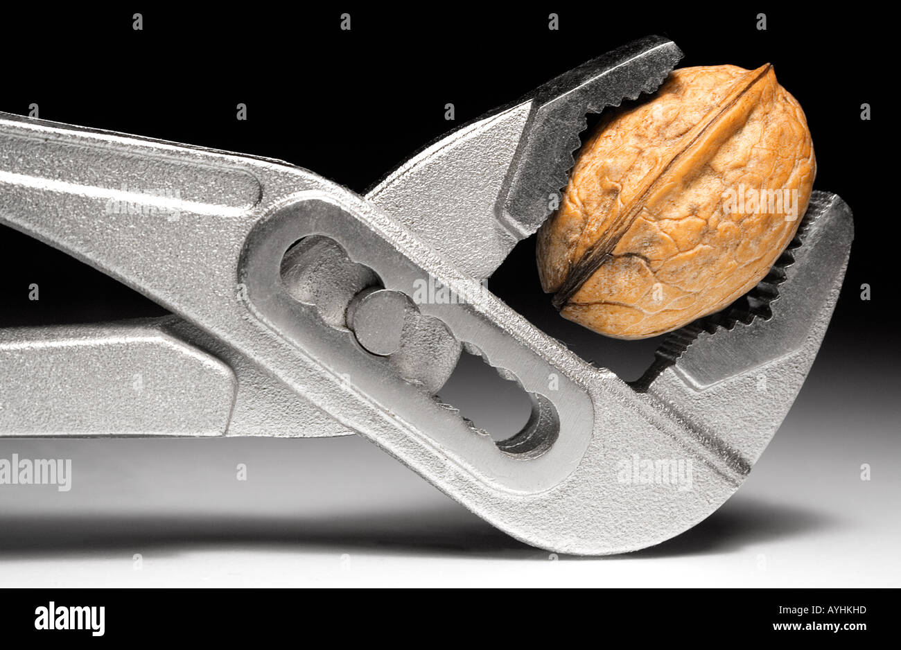 Nutcracker (Side View Stock Photo - Alamy