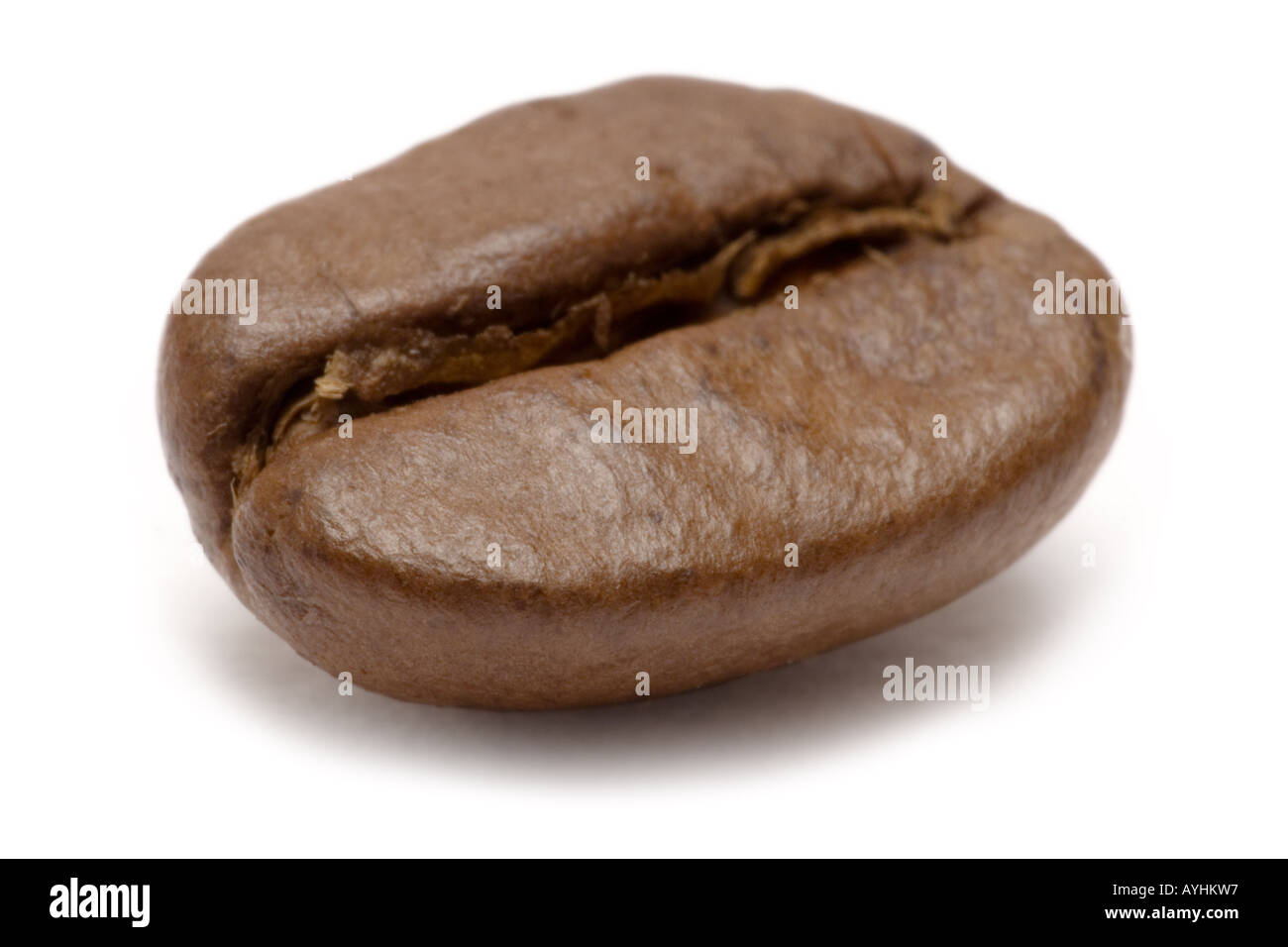 Single Coffee Bean Stock Photo - Alamy