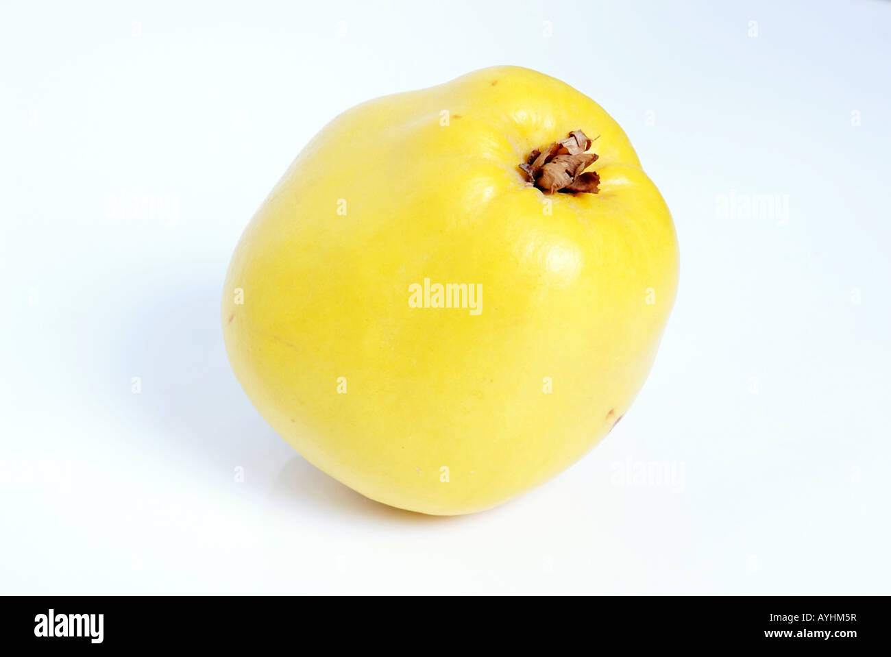 Quince | Quitte Stock Photo - Alamy