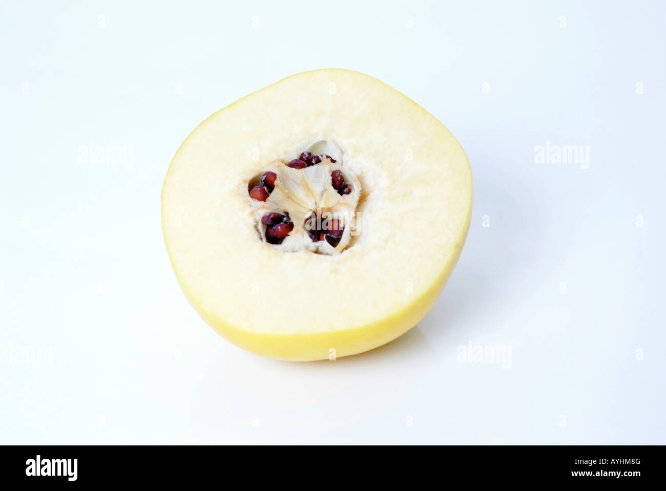 Quince | Quitte Stock Photo - Alamy
