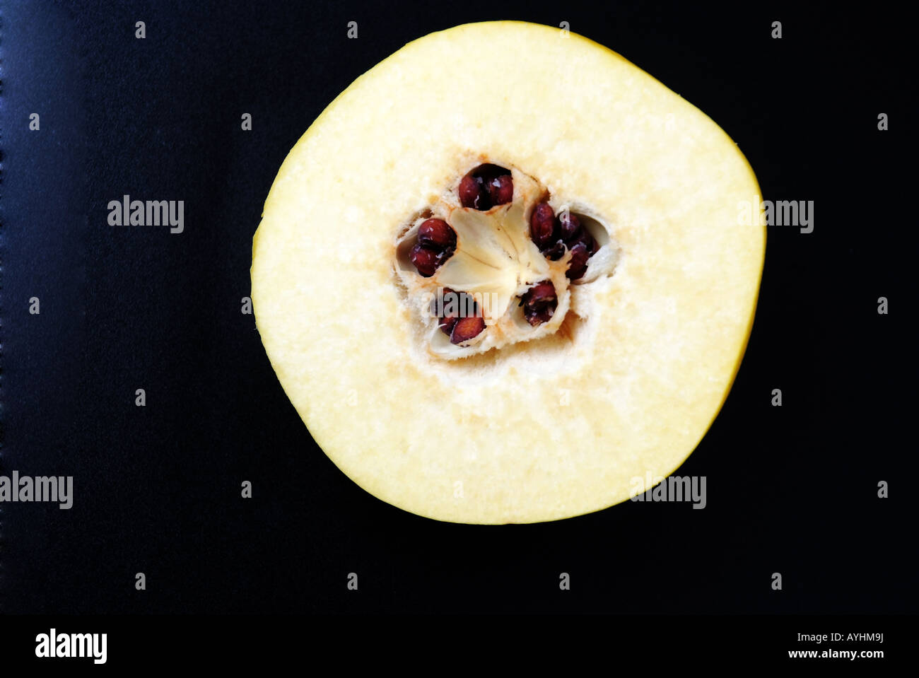 Quince | Quitte Stock Photo - Alamy