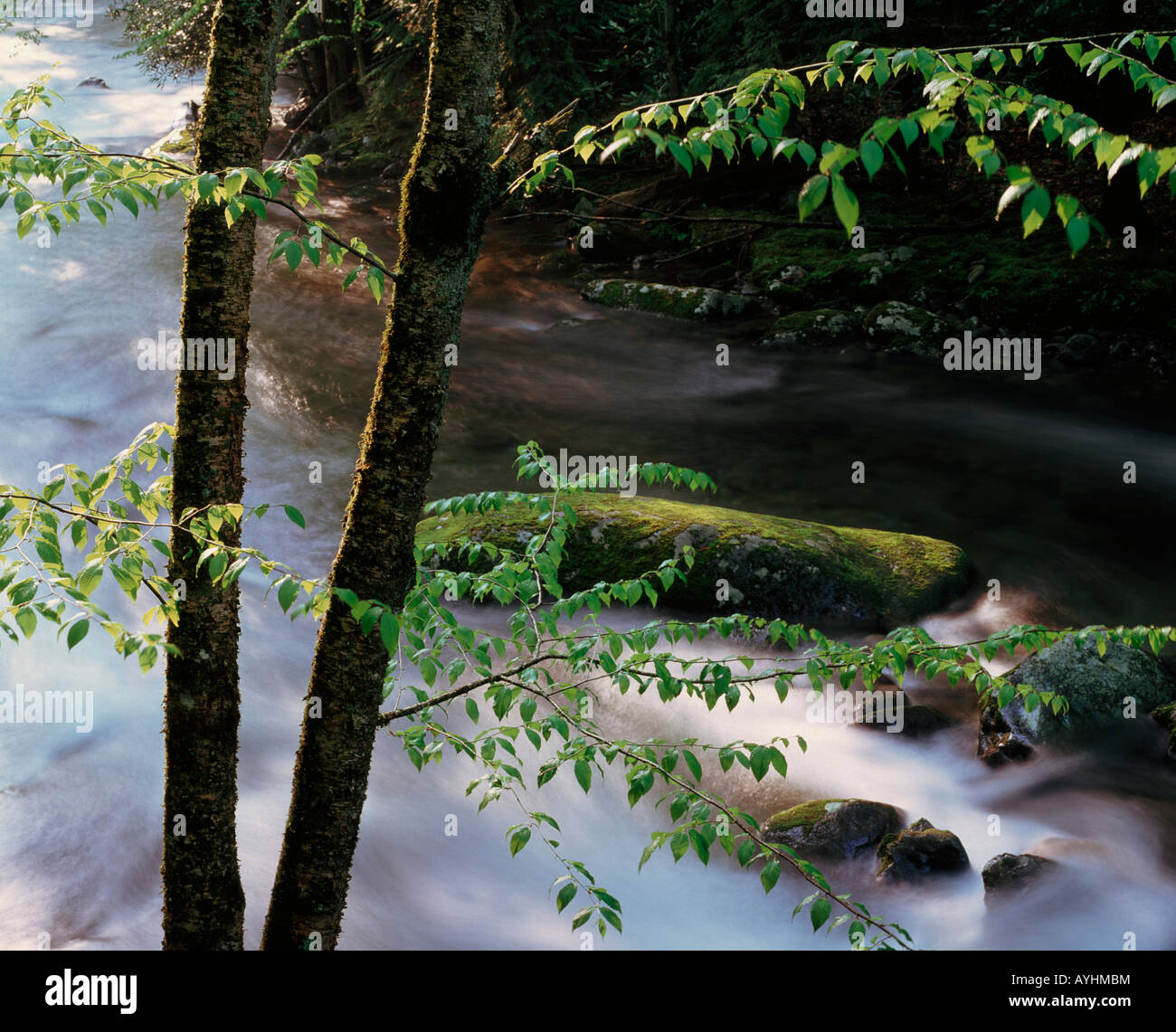 Little River, Great Smoky Mountains National Park, Tennessee USA Stock ...