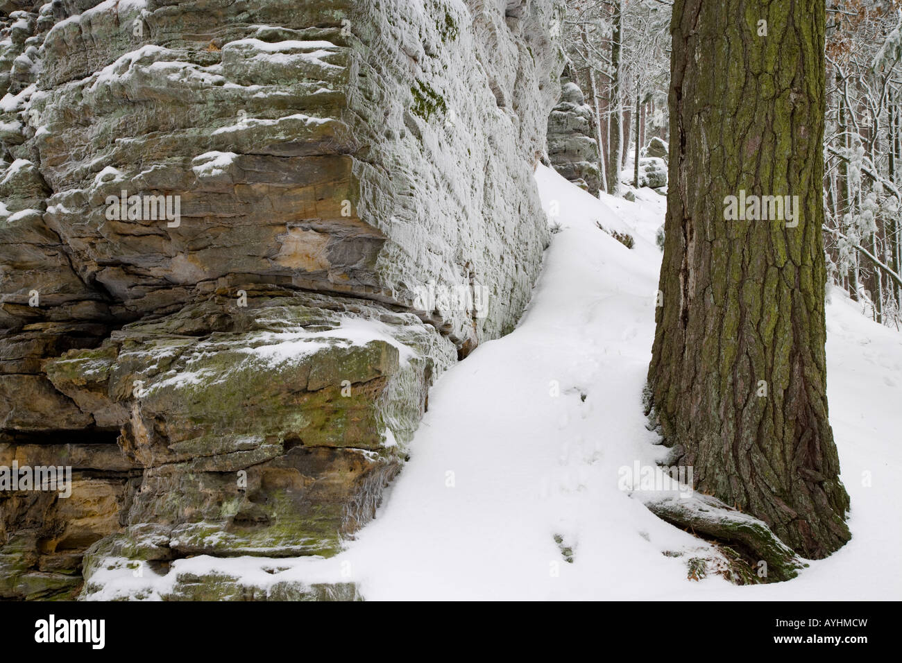 rock outcropping and trees, Castle Mound Pine Forest State Natural Area ...