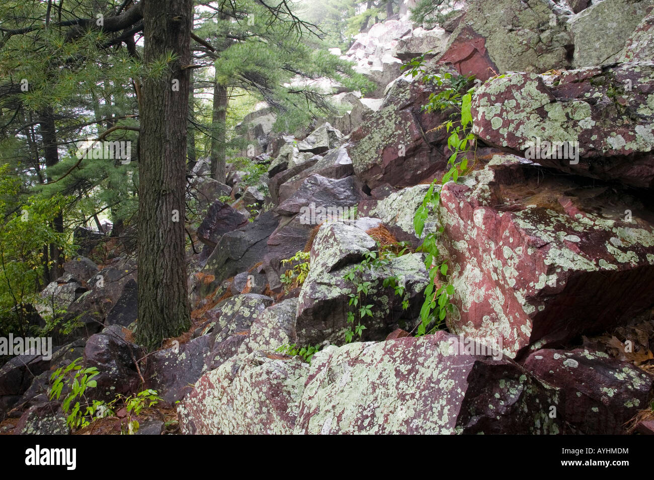 quartzite on East Bluff above Devil's Lake, Devil's Lake State Park ...