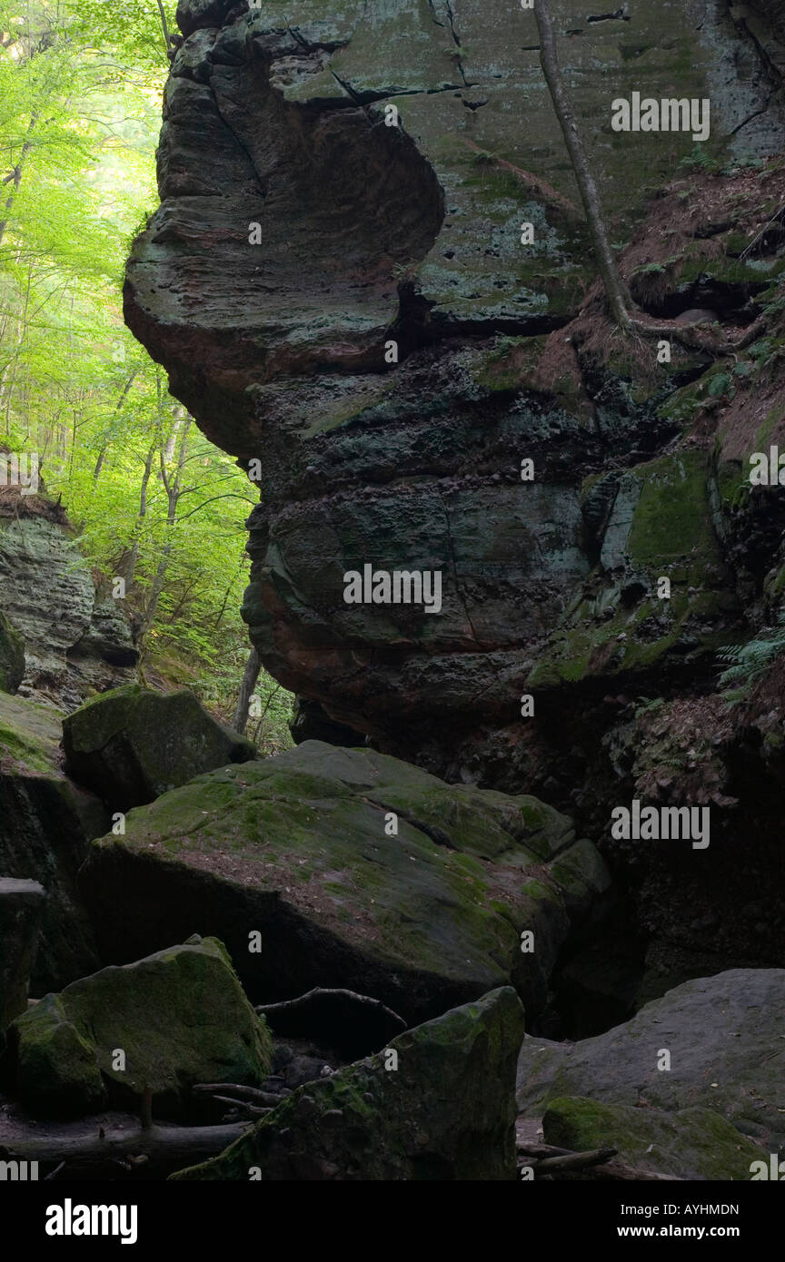 Parfreys glen state natural area hi-res stock photography and images ...