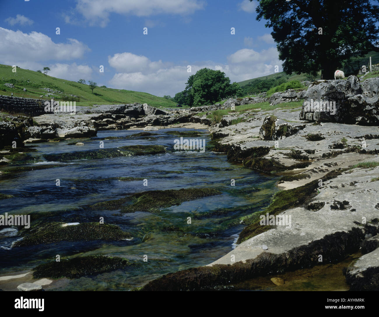 Yorkshire Dales national park Upper Wharfedale River Wharfe Near source ...