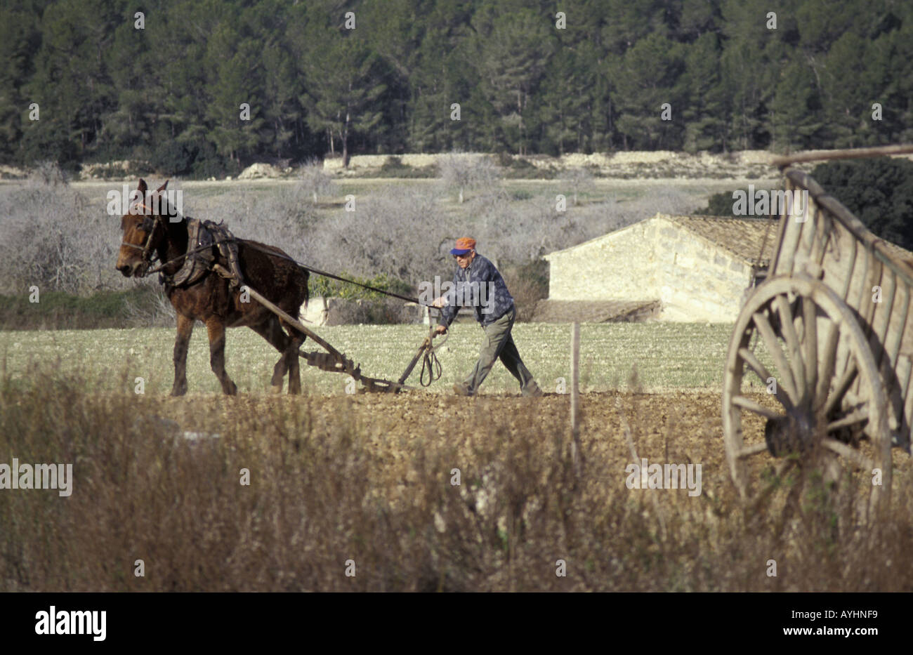 Mensch sein mensch sein hi-res stock photography and images - Alamy