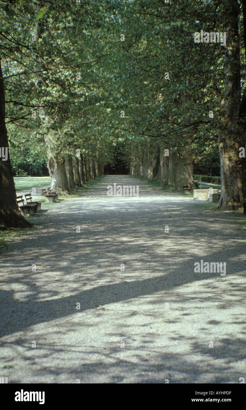 Pappelallee hi-res stock photography and images - Alamy