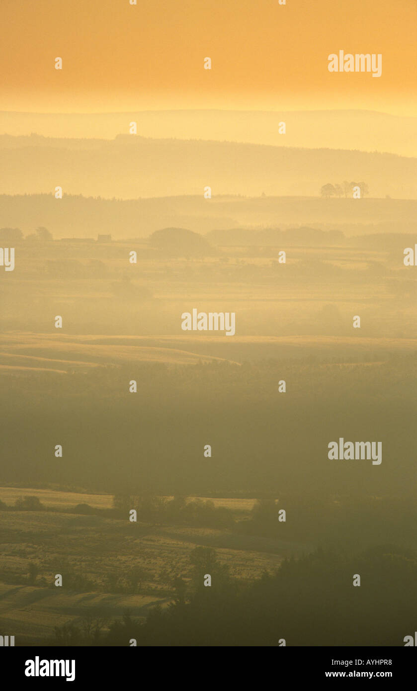 Liddesdale trees hi-res stock photography and images - Alamy