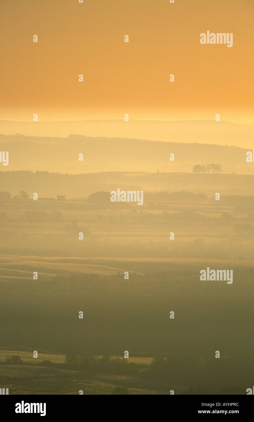 Liddesdale trees hi-res stock photography and images - Alamy