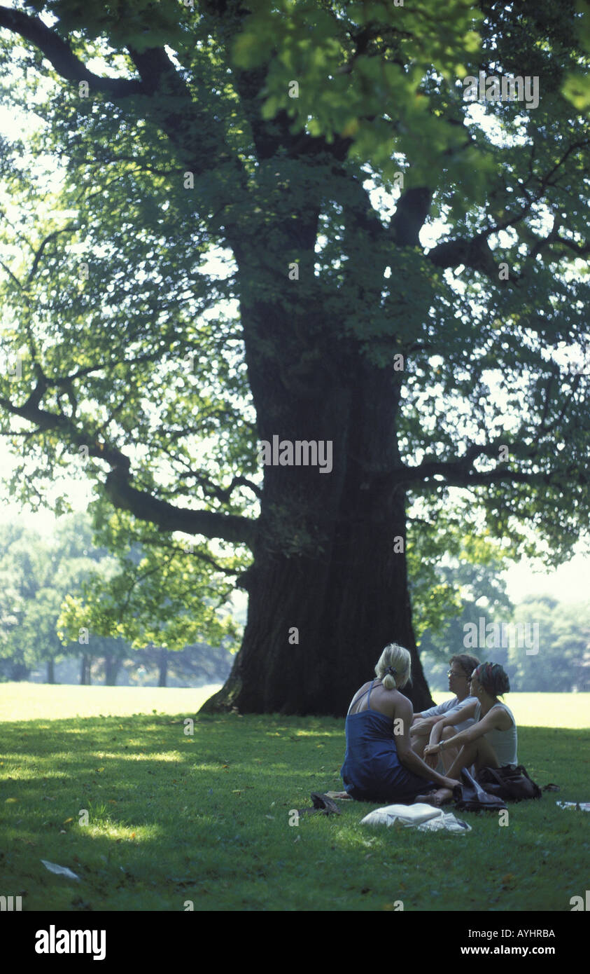 Rast unter einem grossen Baum Hamburg Deutschland Stock Photo - Alamy