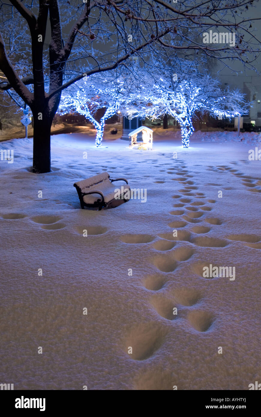 Footsteps in new snow, tree lights in background Stock Photo - Alamy