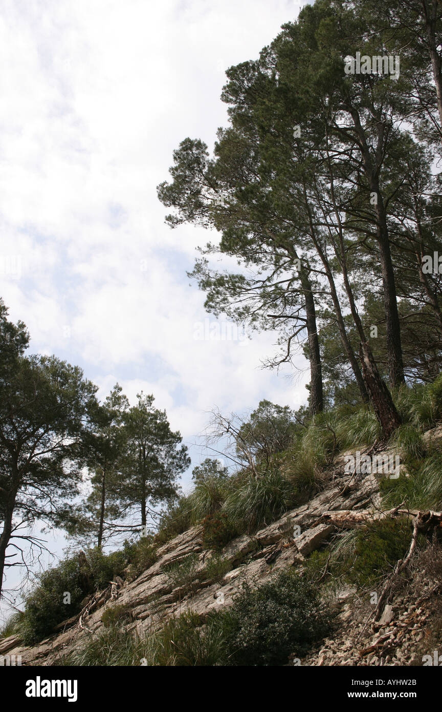Berghang berghang berghang berghang felsen hi-res stock photography and ...