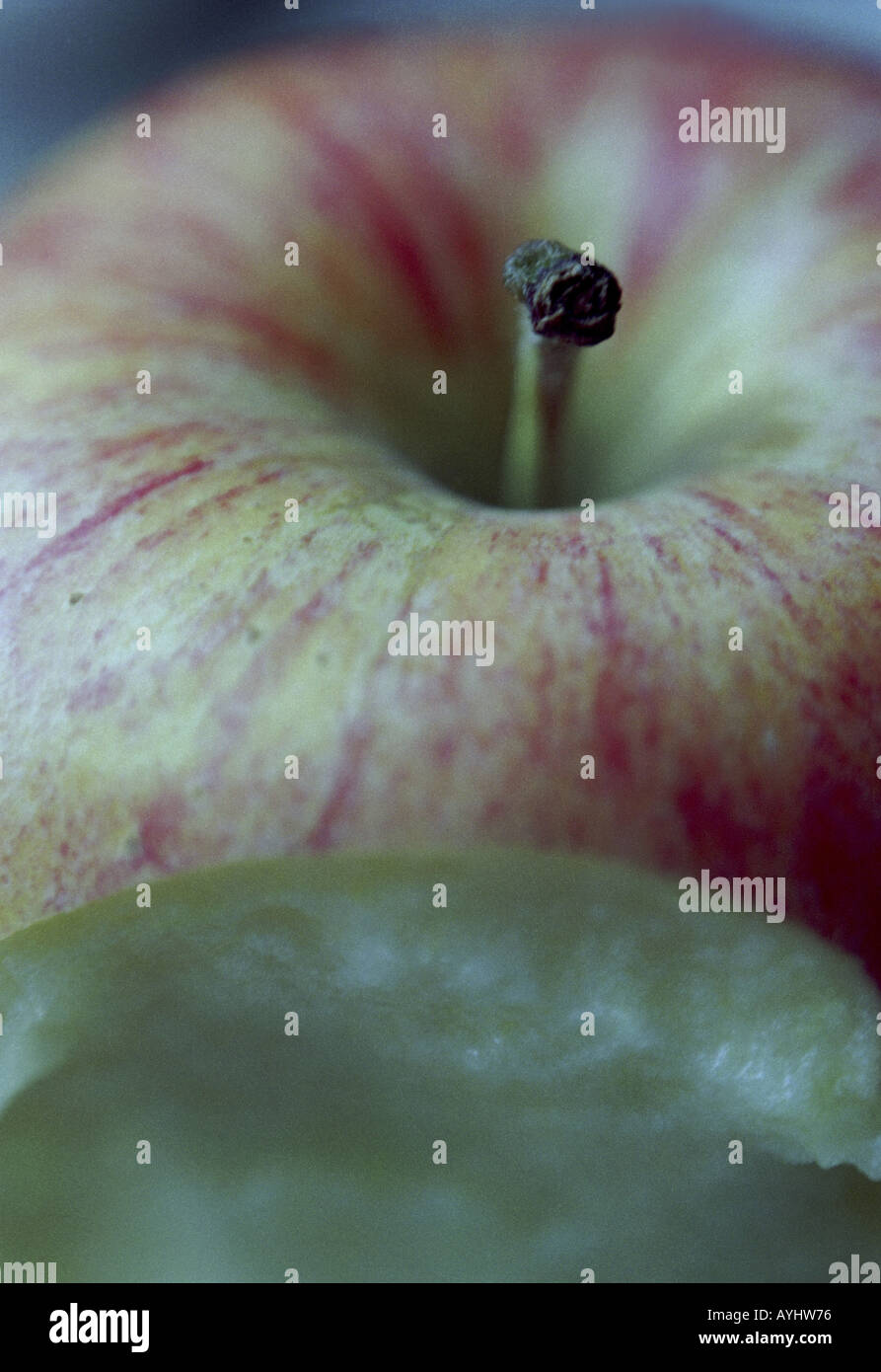 Apple stalk apfel stiel hi-res stock photography and images - Alamy