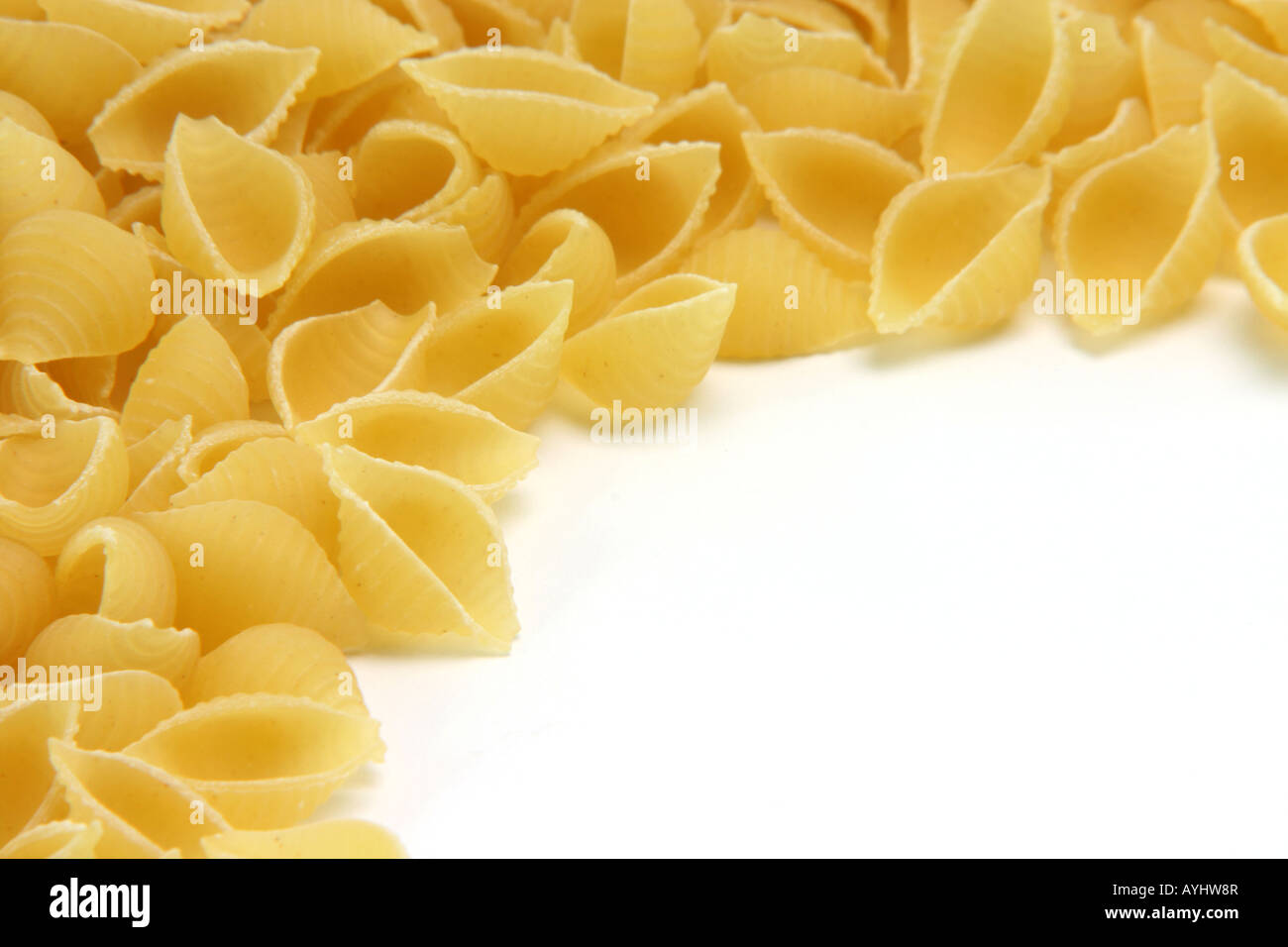 macaroni closeup isolated on white background with copy space Stock ...