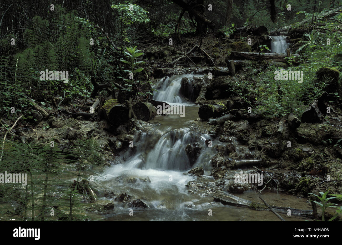 Quelle bei Stockach am Bodensee Stock Photo - Alamy