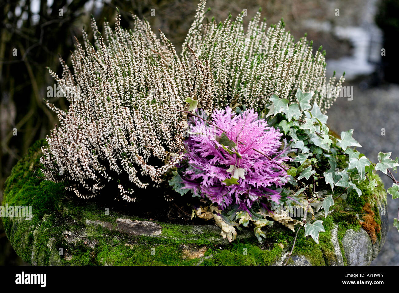 Decorative old flowerpot in an ancient european garden Stock Photo - Alamy