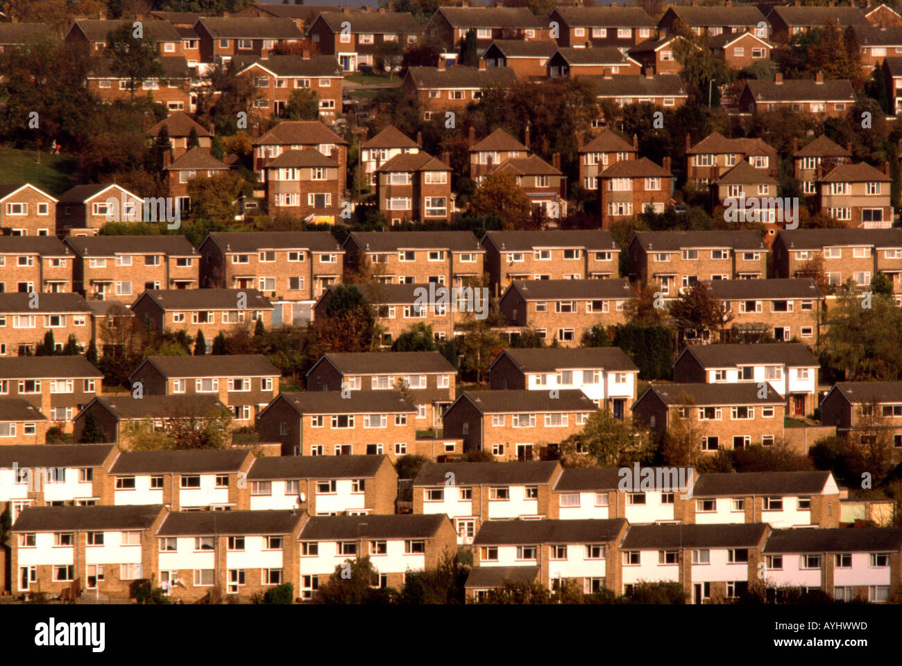 England. Suburban houses Stock Photo - Alamy