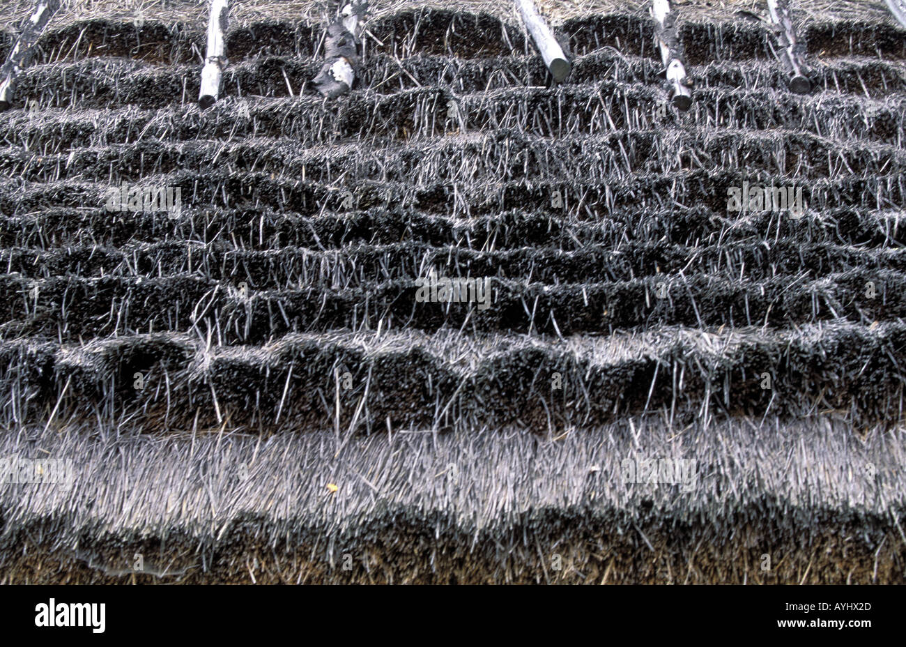 Reeddach hi-res stock photography and images - Alamy