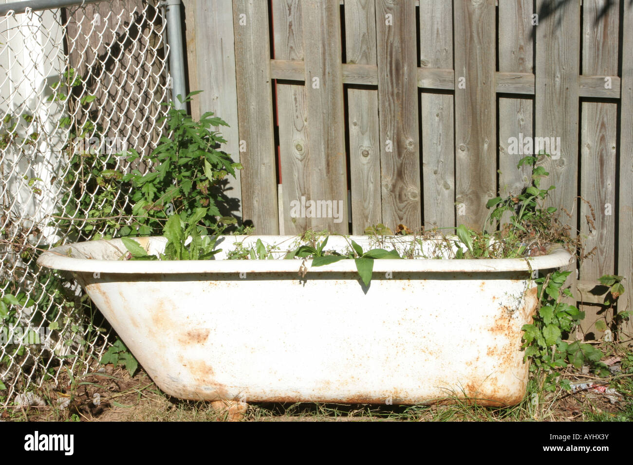 Tub plants hi-res stock photography and images - Alamy