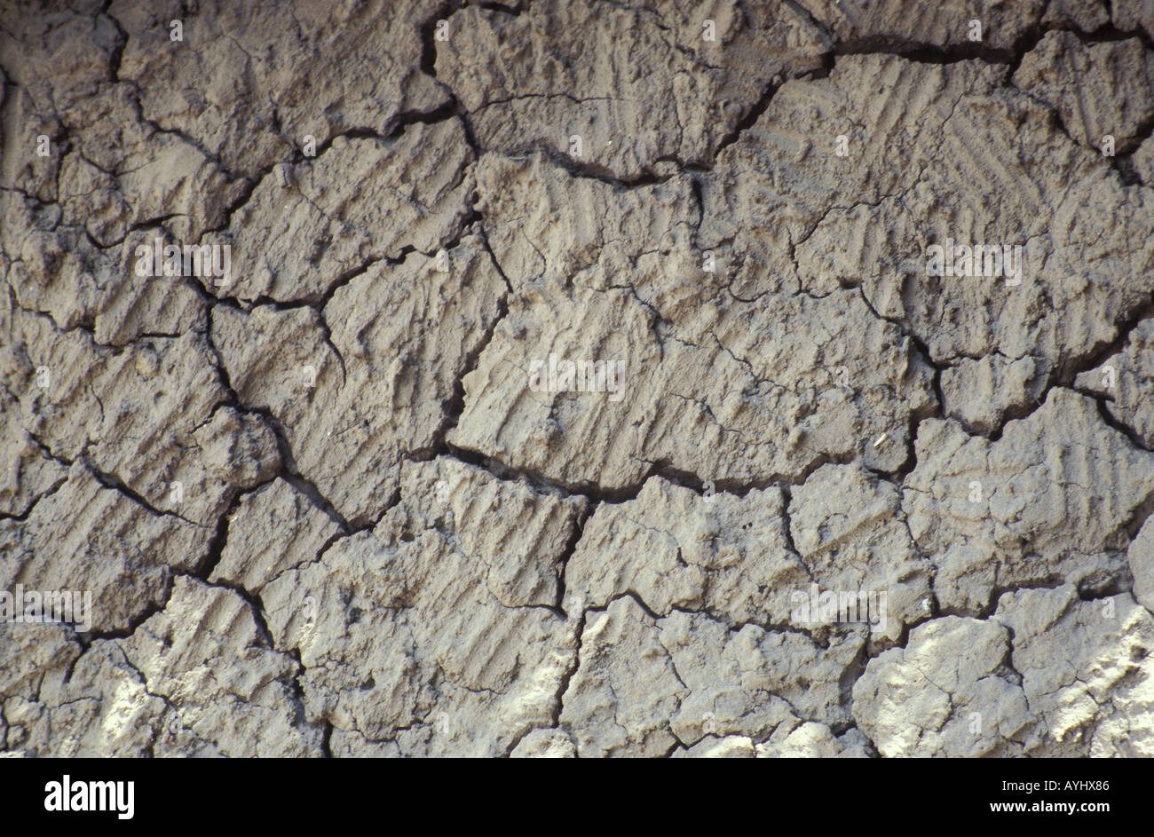 Risse natur hi-res stock photography and images - Alamy