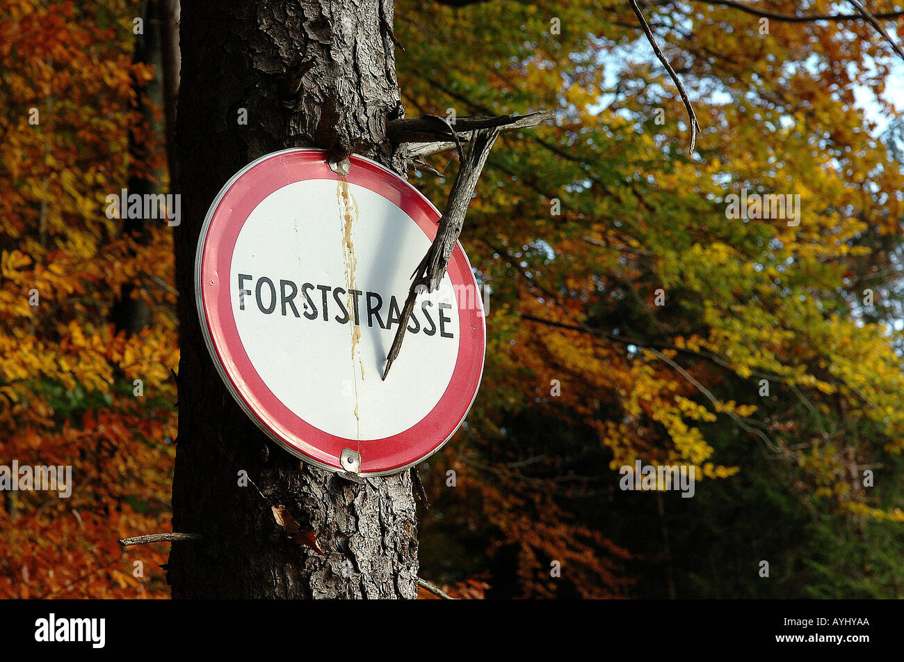 Forststrasse hi-res stock photography and images - Alamy