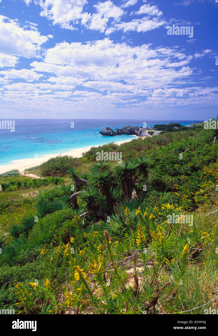 Warwick long bay beach hi-res stock photography and images - Alamy