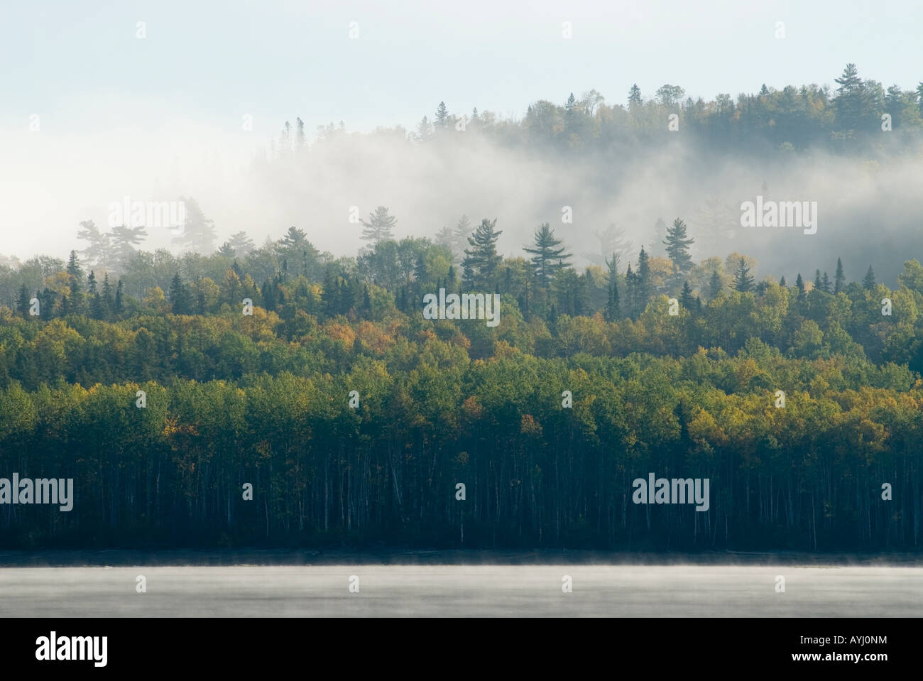 MORNING MIST ALONG SHORELINE OF LAKE IN NORTHERN ONTARIO IN AUTUMN ...