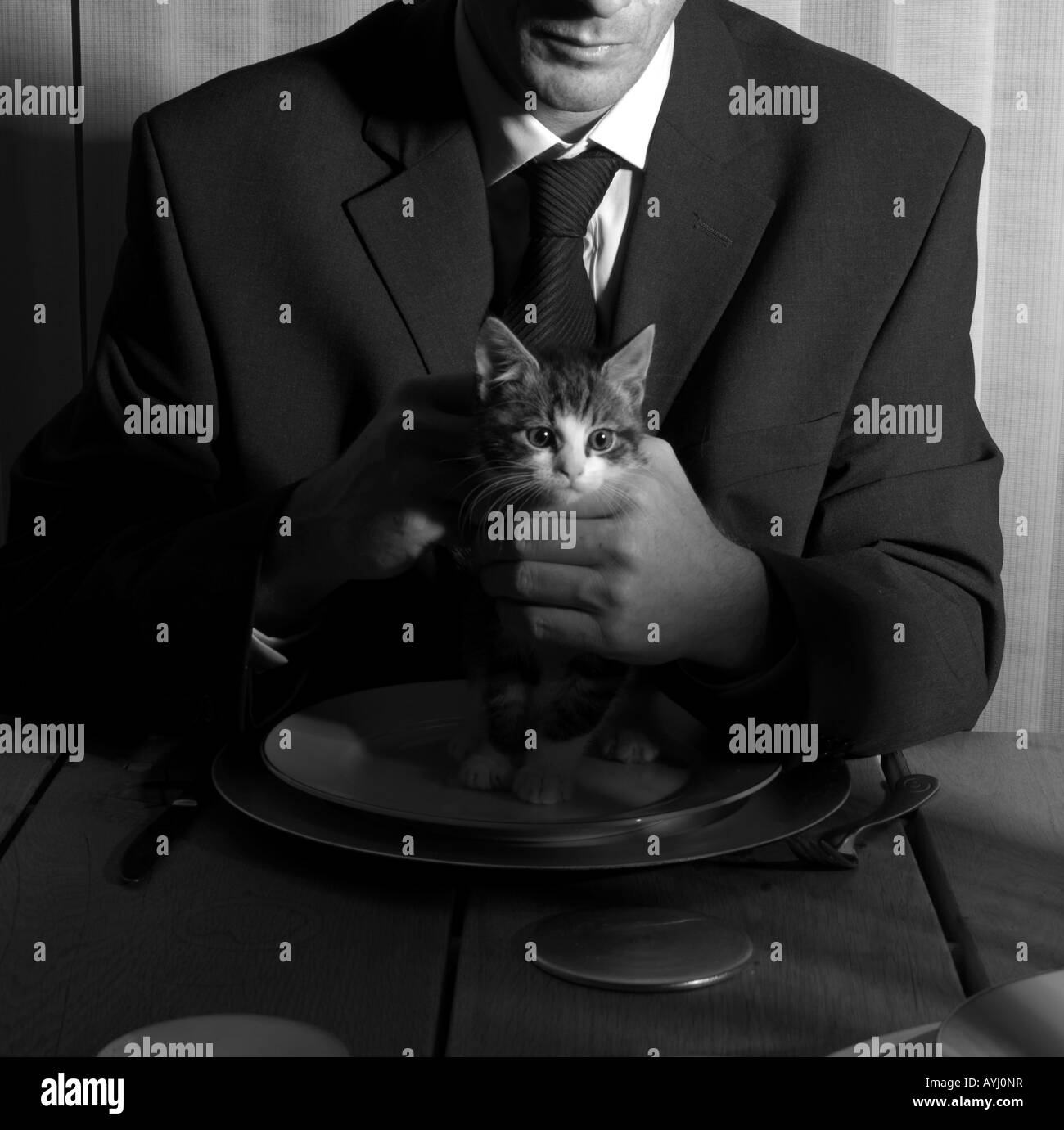 Cat friend Black and White Stock Photos & Images - Alamy