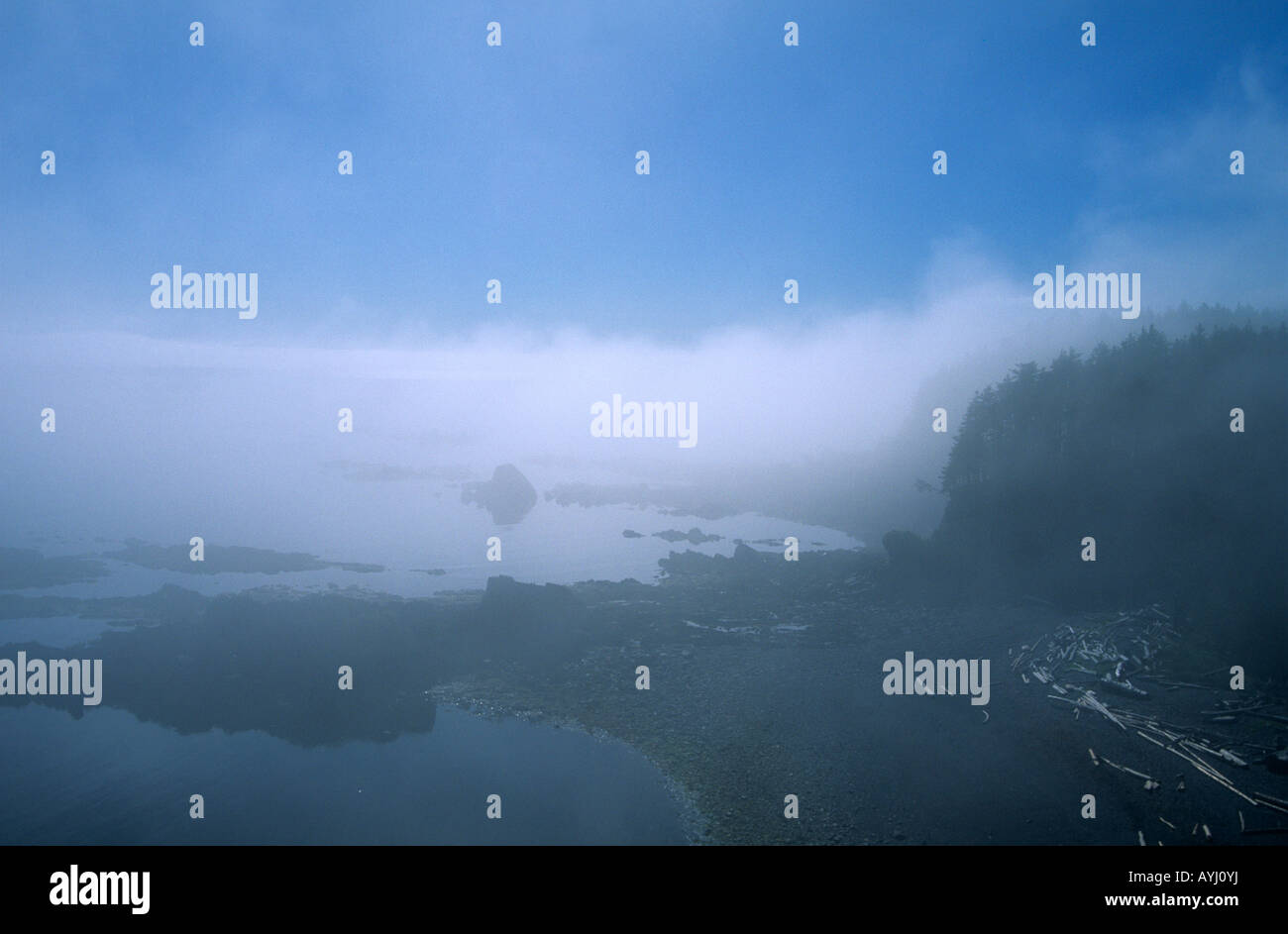 fog on beach in, Kodiak Alaska USA Stock Photo - Alamy