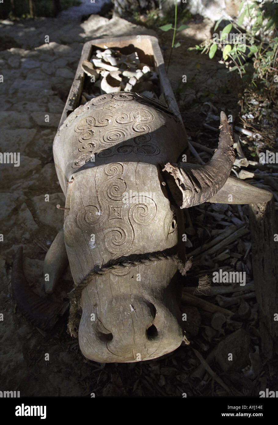 ornate wooden cow coffin Stock Photo - Alamy