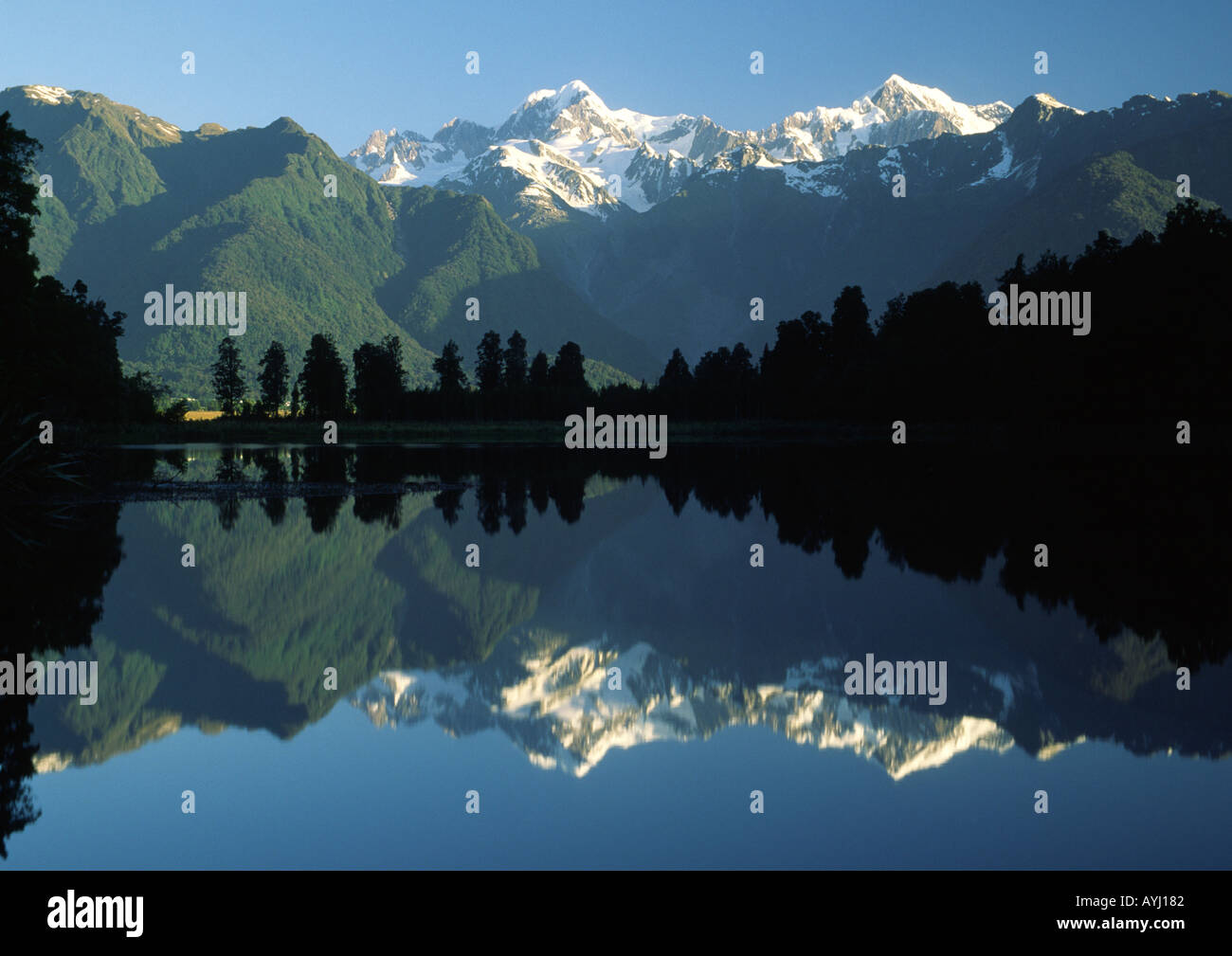 Lake Matheson Reflection, New Zealand Stock Photo - Alamy