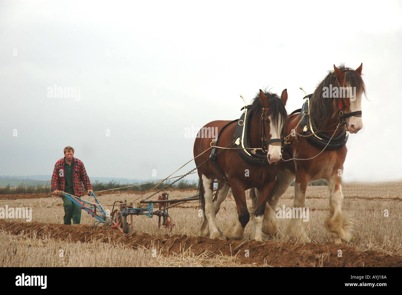 Traditional ploughing hi-res stock photography and images - Alamy