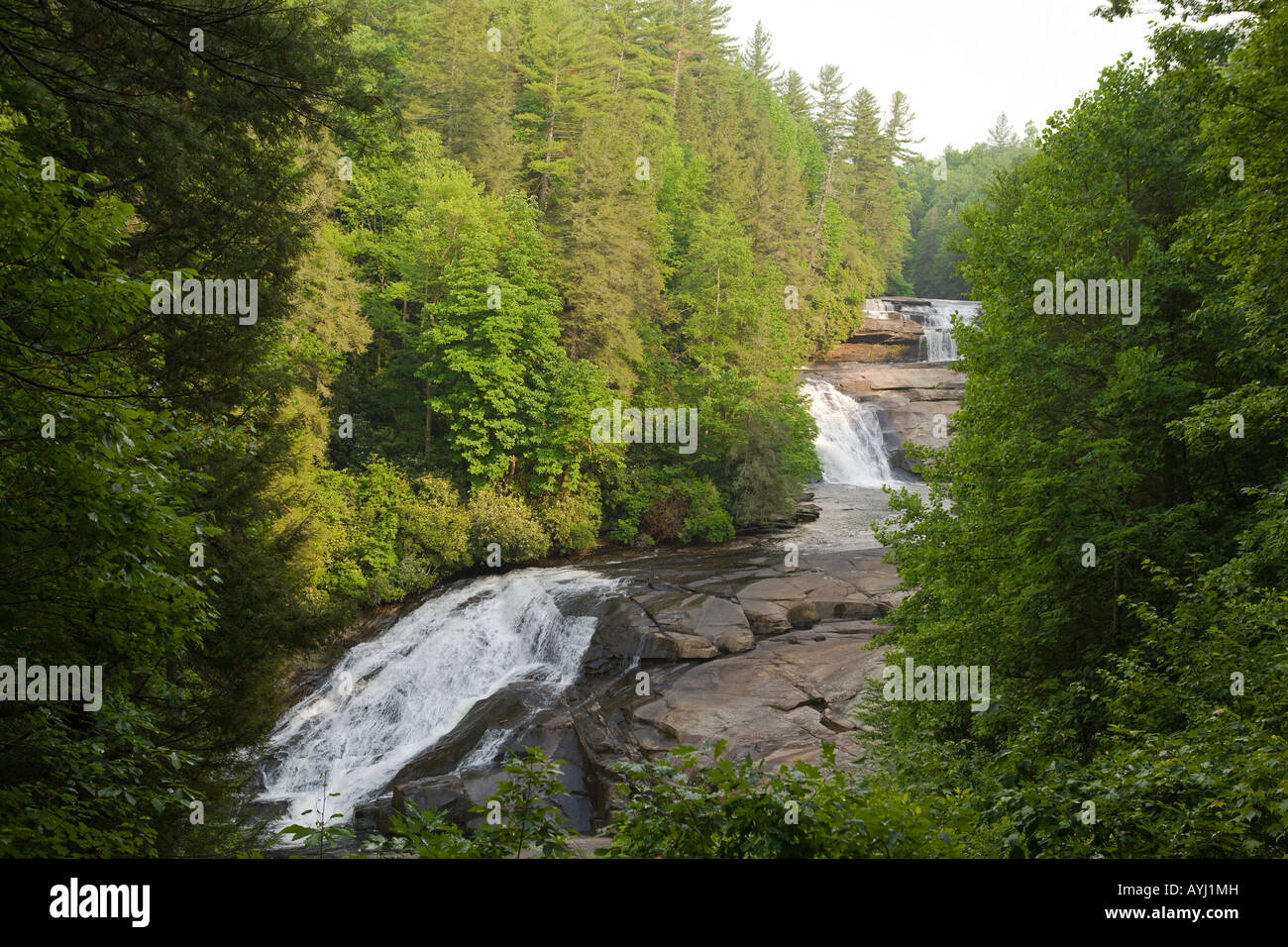 Dupont state forest triple falls hi-res stock photography and images ...