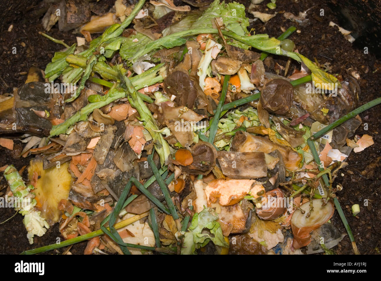 food rotting in a compost bin Stock Photo - Alamy