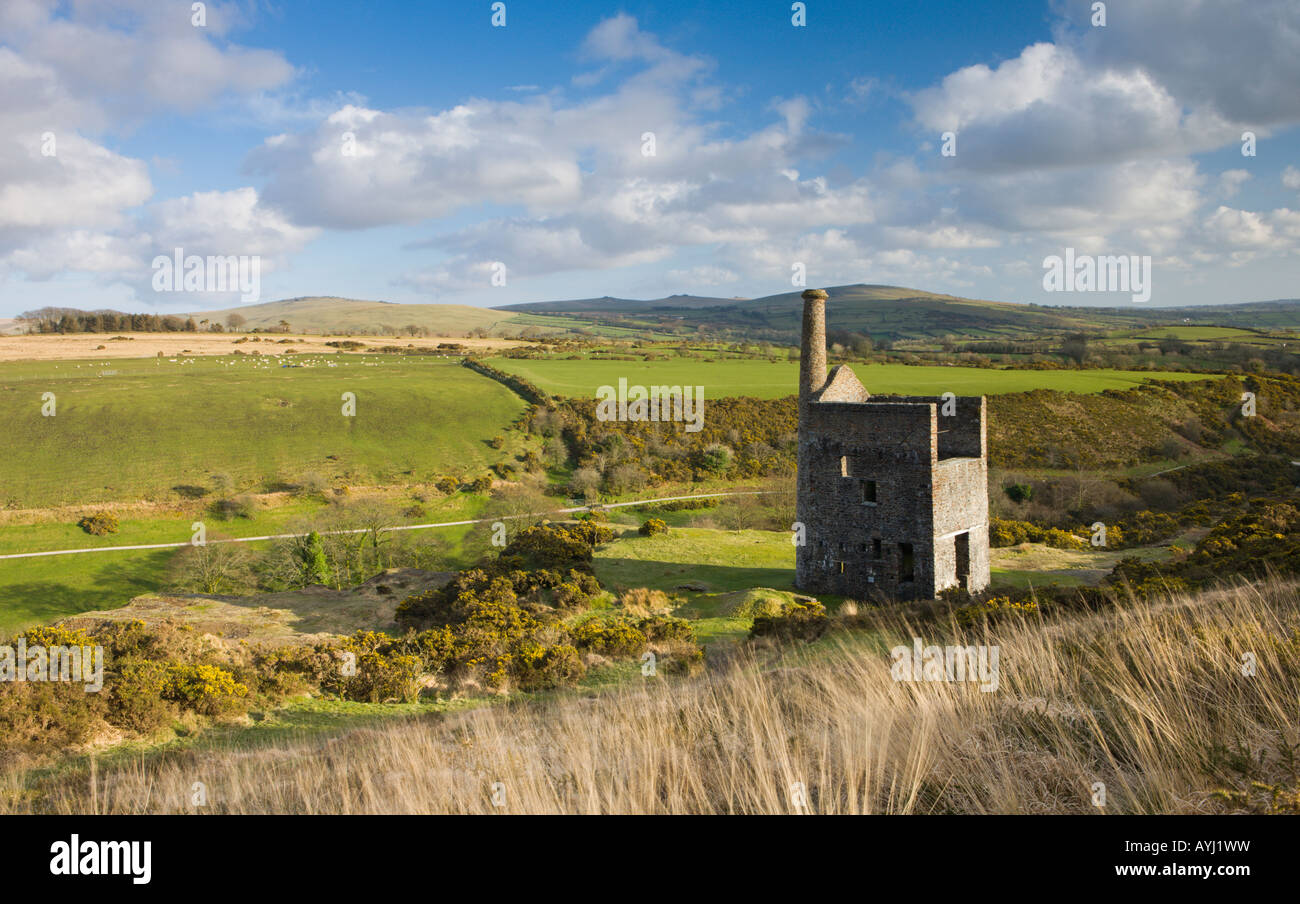 The remains of Wheal Betsy the engine house of a lead and silver mine ...