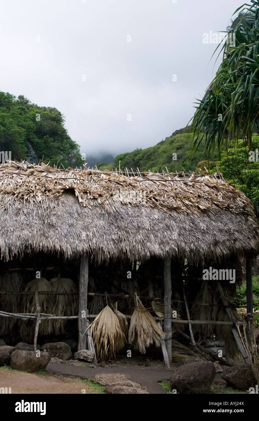 Native tradition hawaii hi-res stock photography and images - Alamy