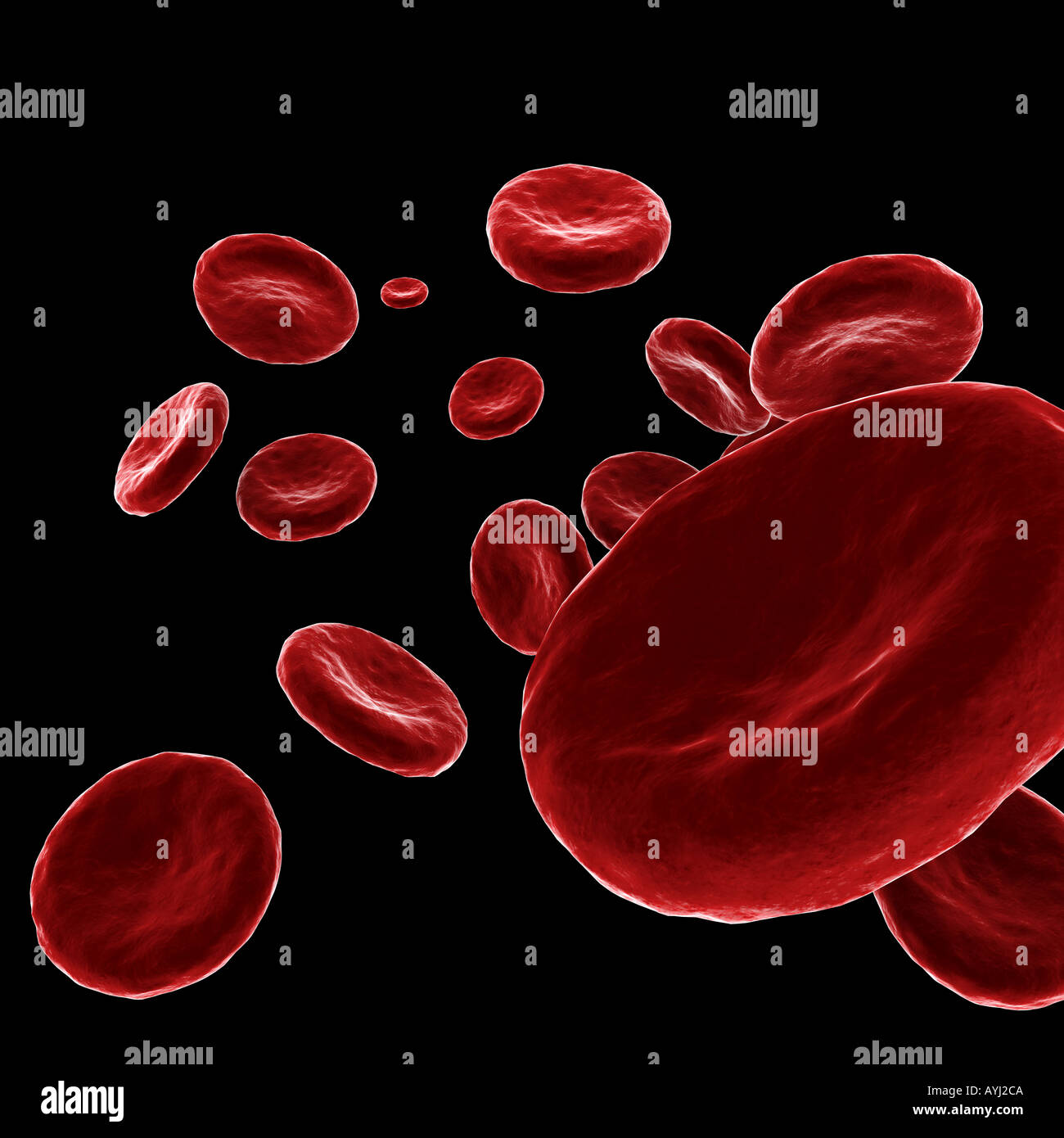 Sem red blood cells human hi-res stock photography and images - Alamy