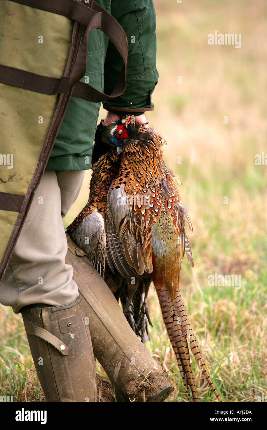 Carrying game birds hi-res stock photography and images - Alamy