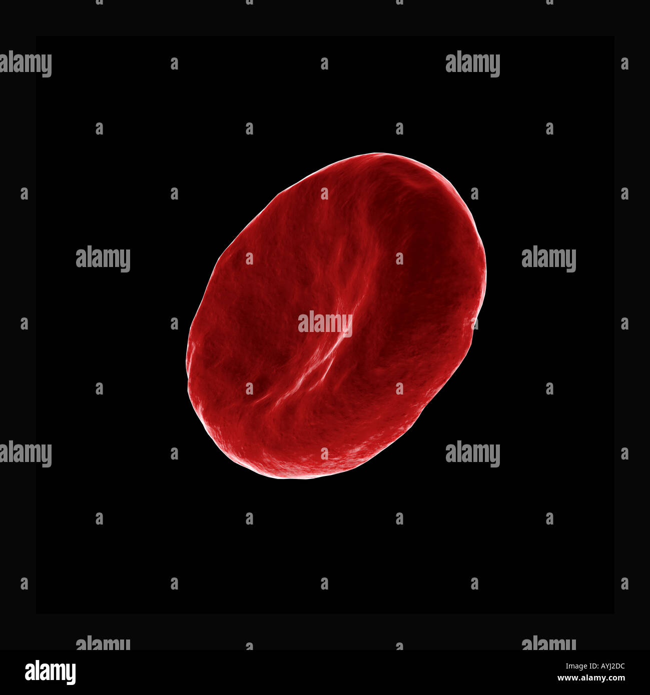 Red blood cell sem hi-res stock photography and images - Alamy