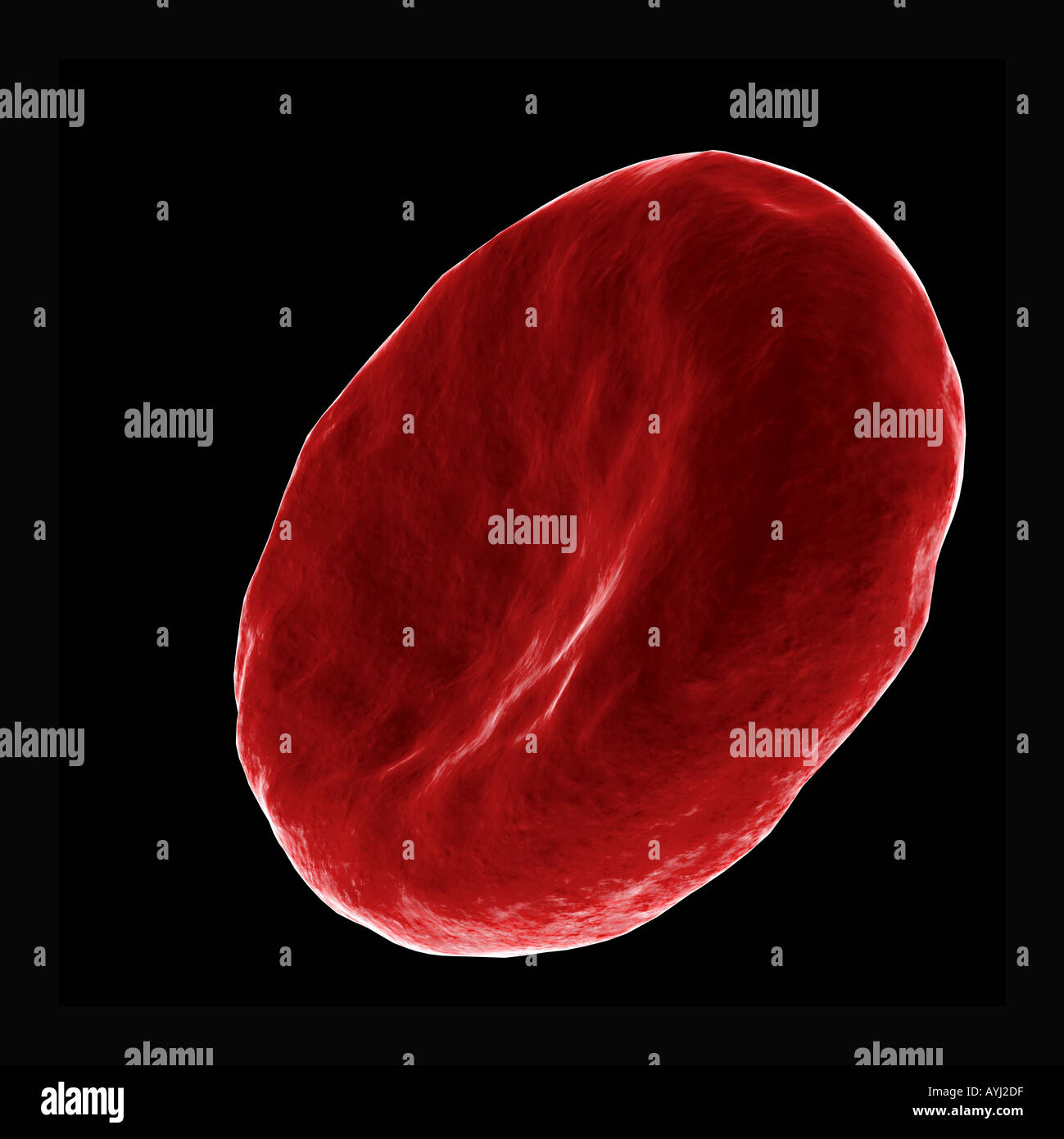 Red blood cell sem hi-res stock photography and images - Alamy