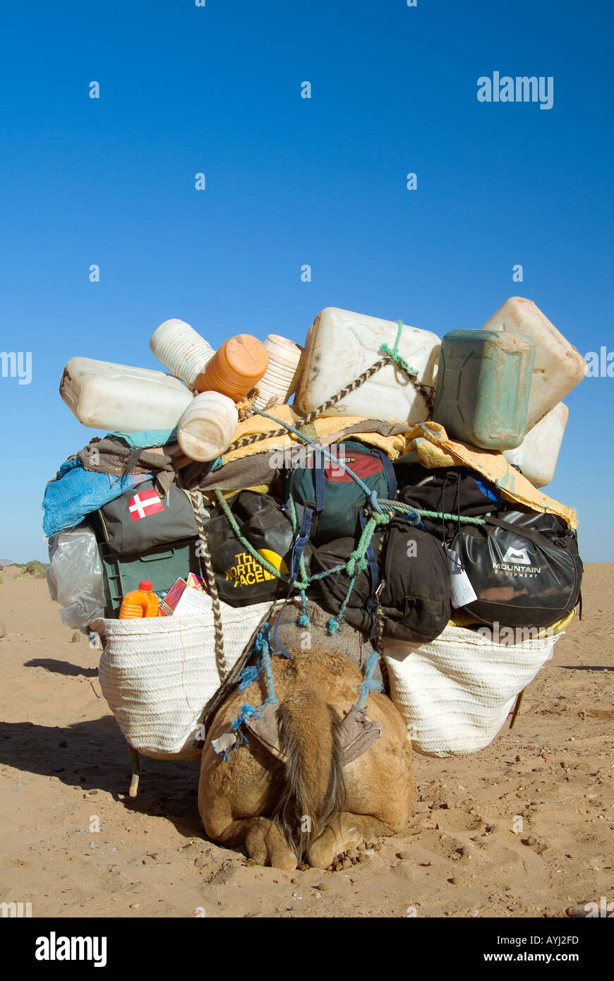 Overloaded camel hi-res stock photography and images - Alamy