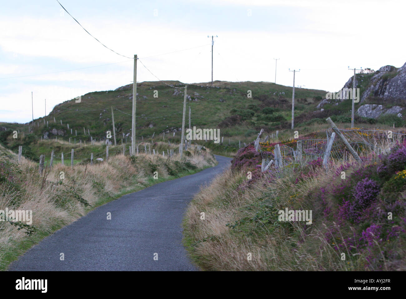 A quiet West Cork road in rural Ireland on the Wild Atlantic Way. Photo ...