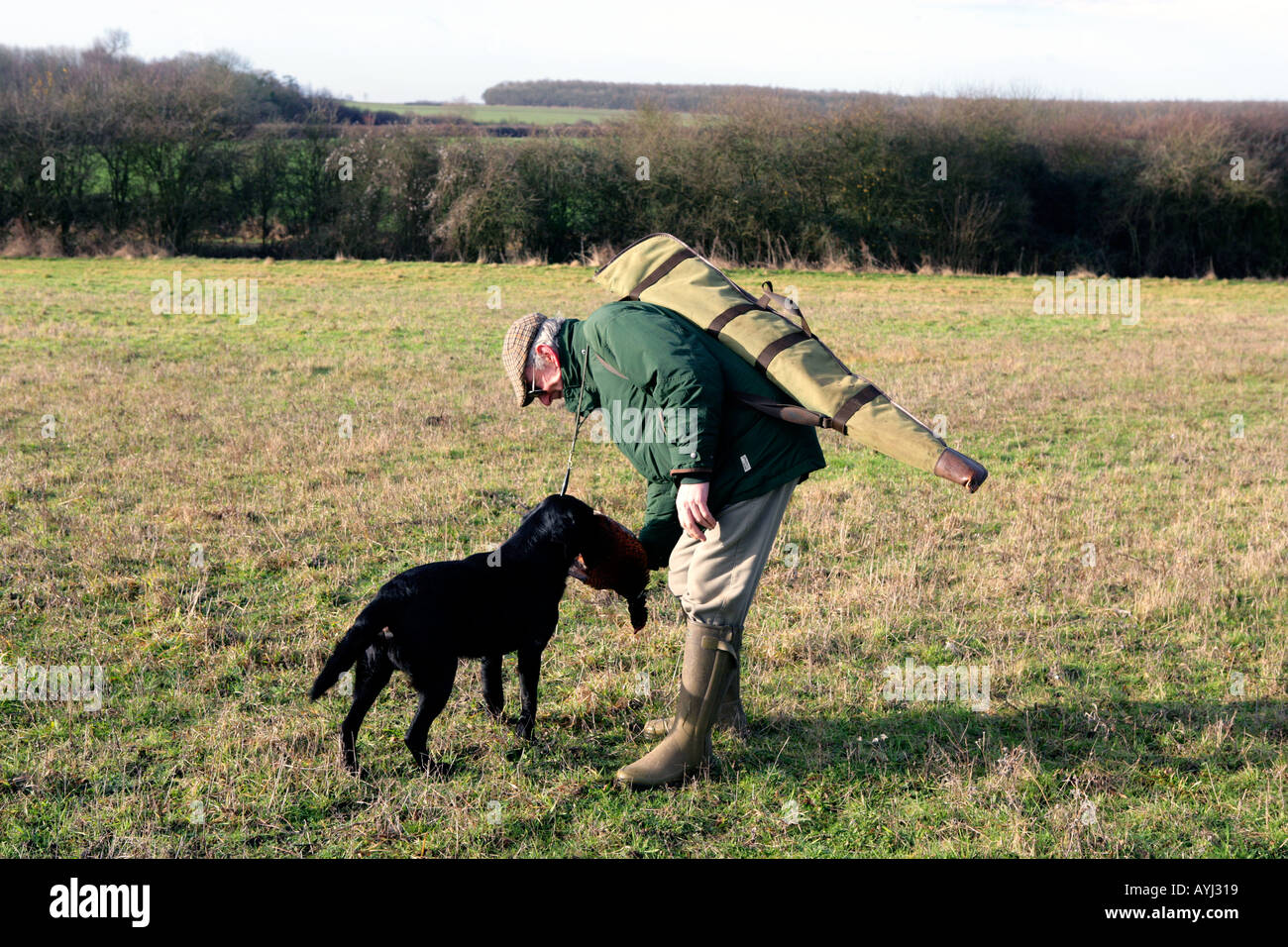 Picking up dead birds hi-res stock photography and images - Alamy