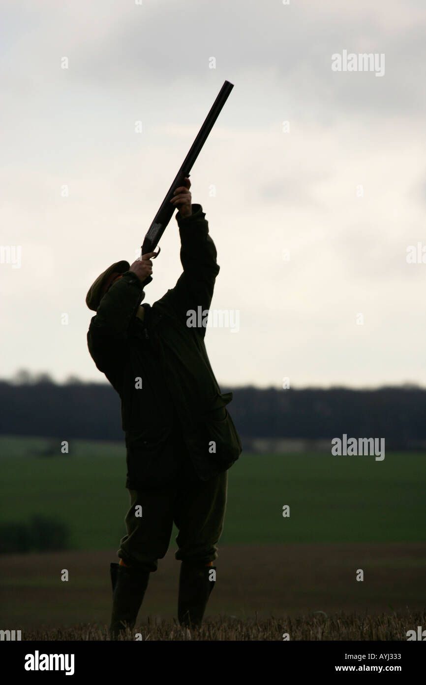 Taking a High Bird Stock Photo - Alamy