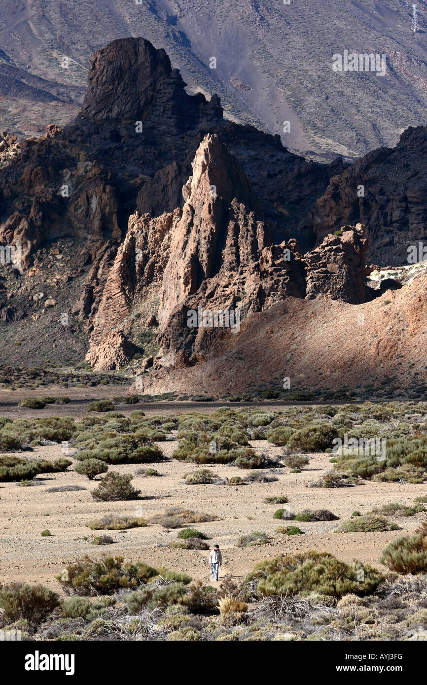 The volcanic landscape around Mount Teide on Tenerife in the Canary ...