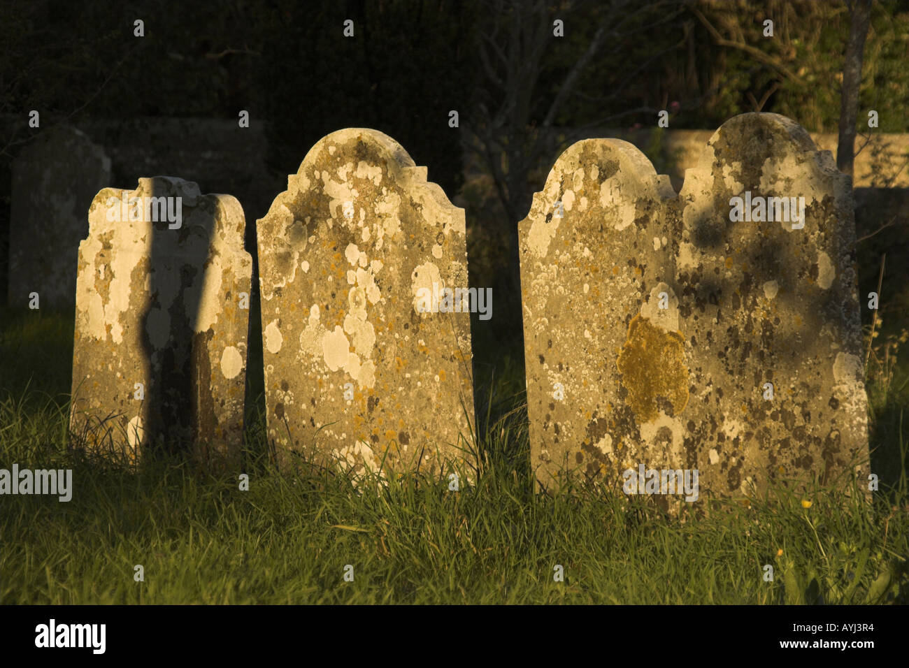 Old forgotten graveyard gravestones hi-res stock photography and images ...